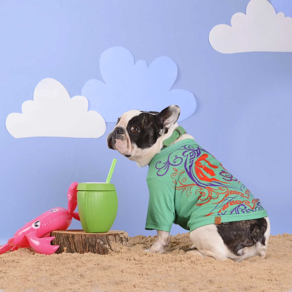 Camiseta para cachorros e gatos Boomer | Pet JR
